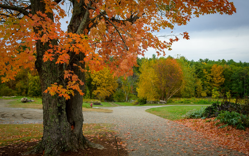 Fall Experiences - New England Botanic Garden at Tower Hill