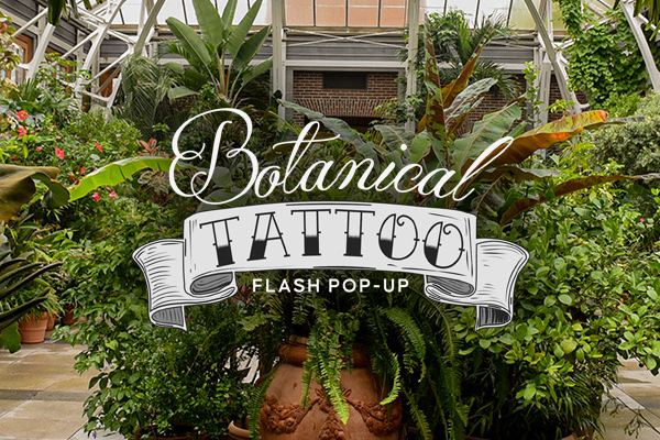 Botanical Tattoo Flash Pop-Up at New England Botanic Garden